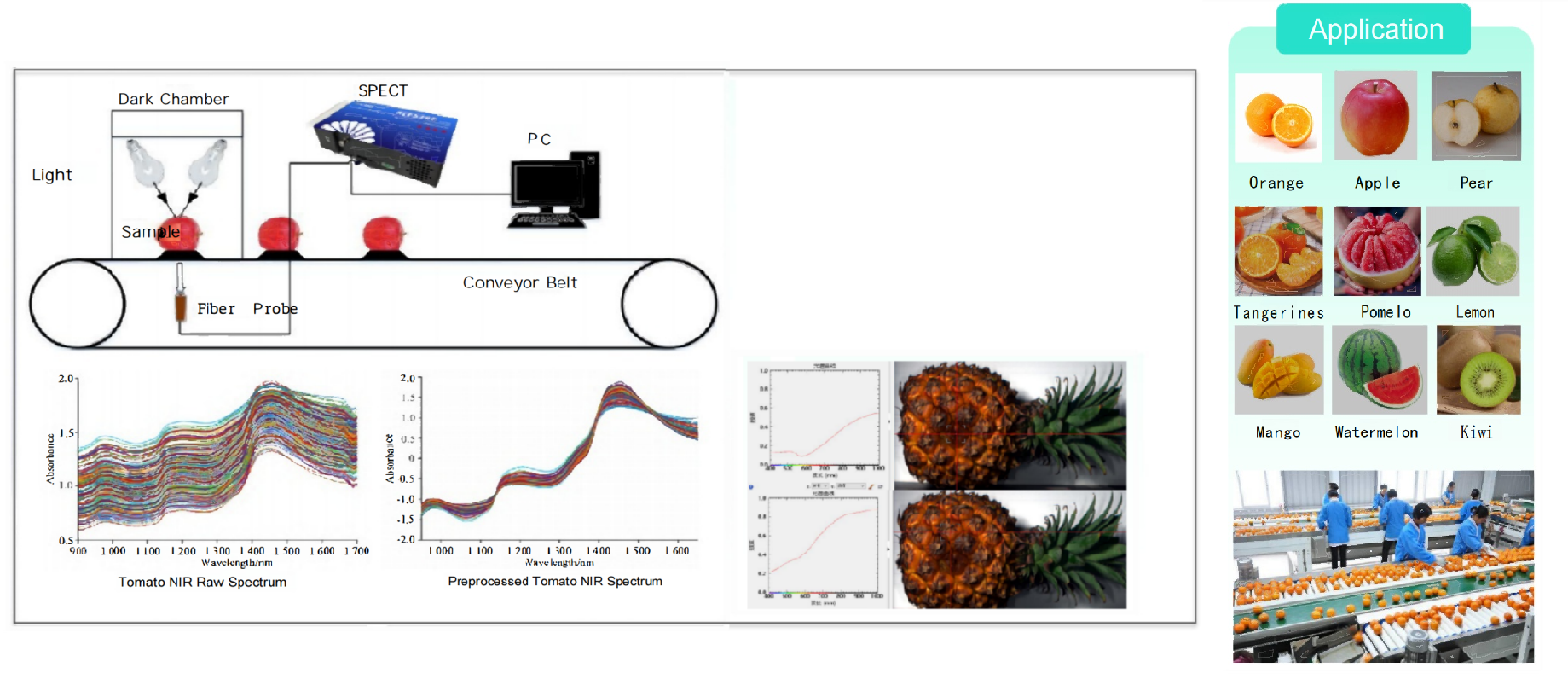 Spectrometers: Key to Food Safety and Quality Control