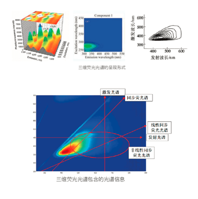 Fluorescence Principles and Analysis Techniques