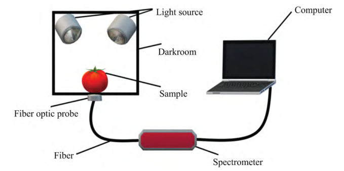 Spectrometer In Agriculture：Non Destructive Detect For Fruit Maturity ...