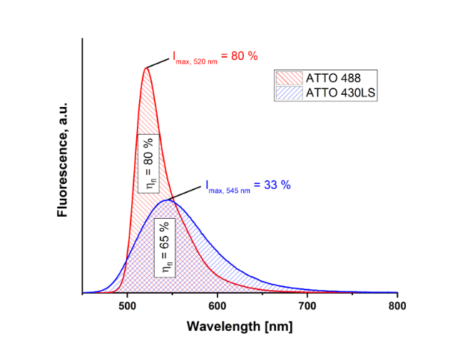 Fluorescence Principles and Analysis Techniques