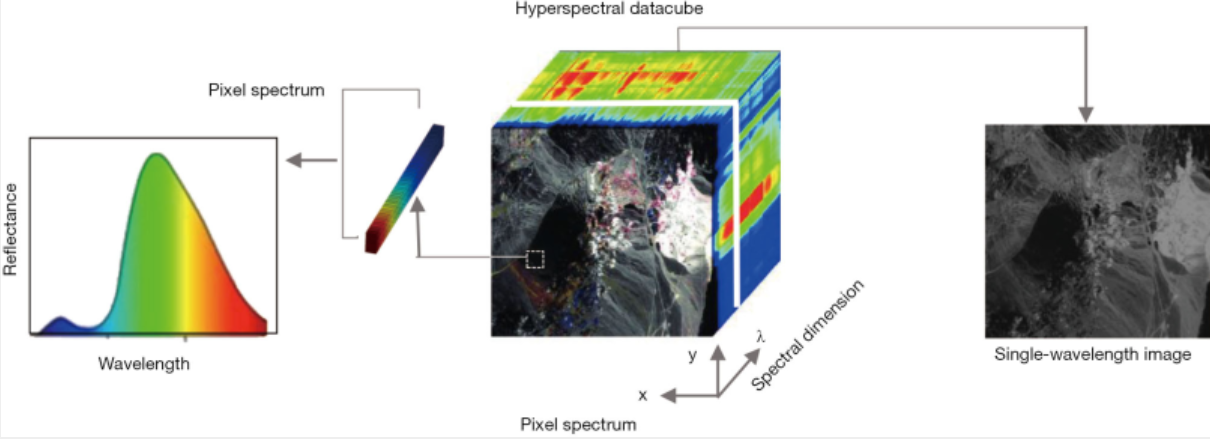 Hyperspectral Imaging In The Detection And Diagnosis Of Solid Tumors