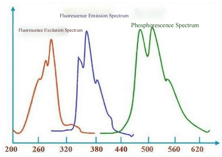 Fluorescence Principles and Analysis Techniques