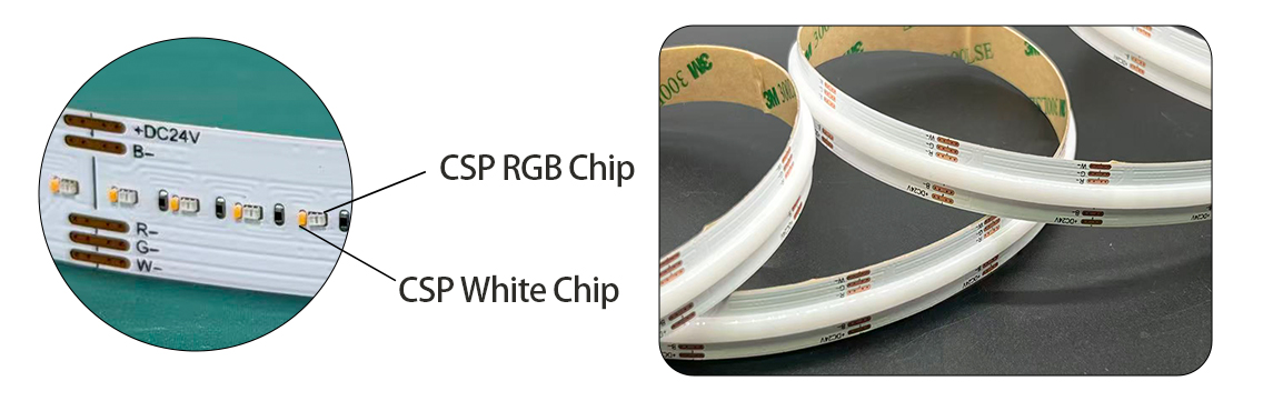 Professional Customized CSP RGBW LED Strip Manufacturer | LW Lighting