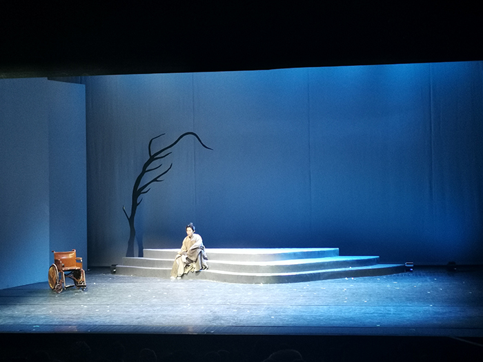 LED imitating solar spectrum technology was first applied to costume ...