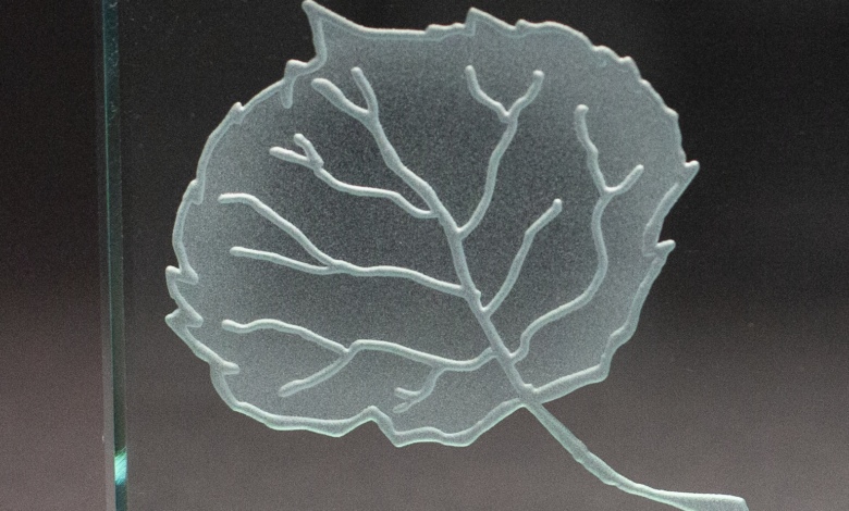 Ammonium Fluoride - Glass etching agent