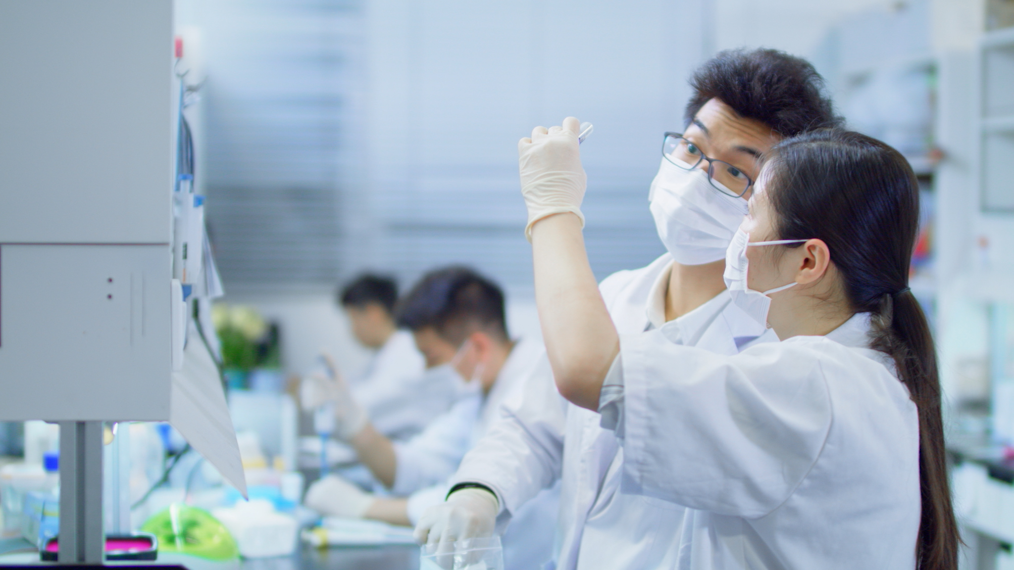 About Bioeasy