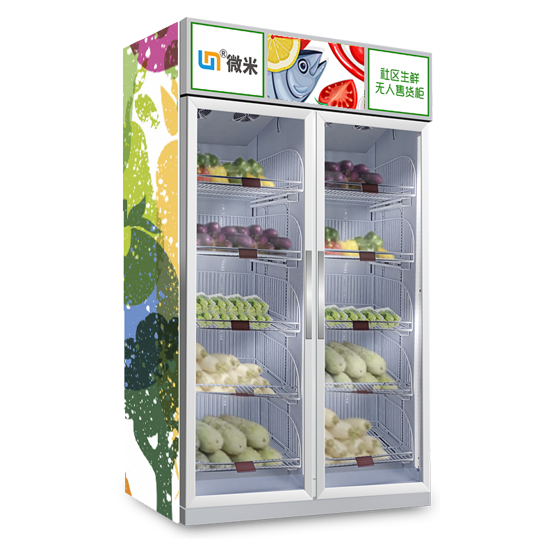 Frozen food vending machine