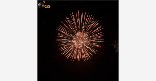 5 inch display shell fireworks wholesale salute shells 5 Inch Display ...
