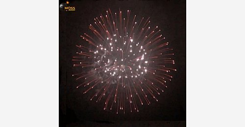 5 inch display shell Salute Firework Shells fireworks sky shot new year ...