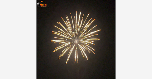 salute firework display shell 4 inch shell fireworks fireworks sky shot ...
