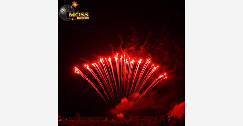 Moss Fireworks 13 Shots 1.2" Inch Single Row Special Effect Fireworks ...
