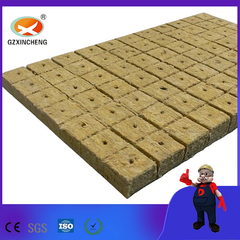 Greenhouse Cultivation of Cubic Rock Wool