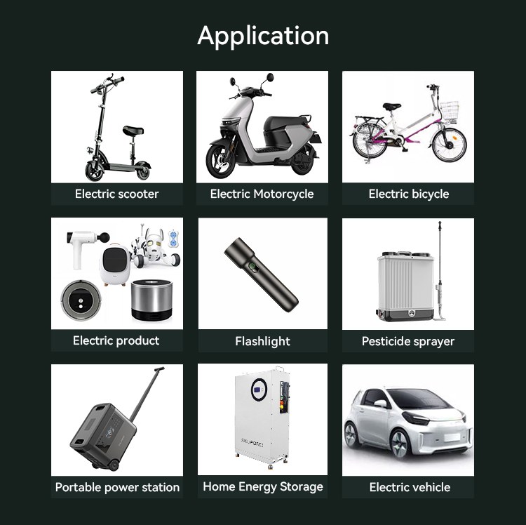 Hina Sodium Ion Battery Supplier | Exliporc
