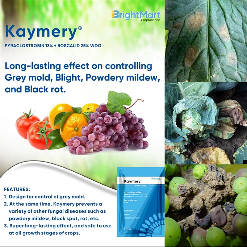 Kaymery｜Pyraclostrobin + Boscalid Fungicide | BrightMart