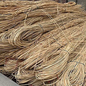 5 Things You Need To Know About Rattan - ① What Is Rattan？