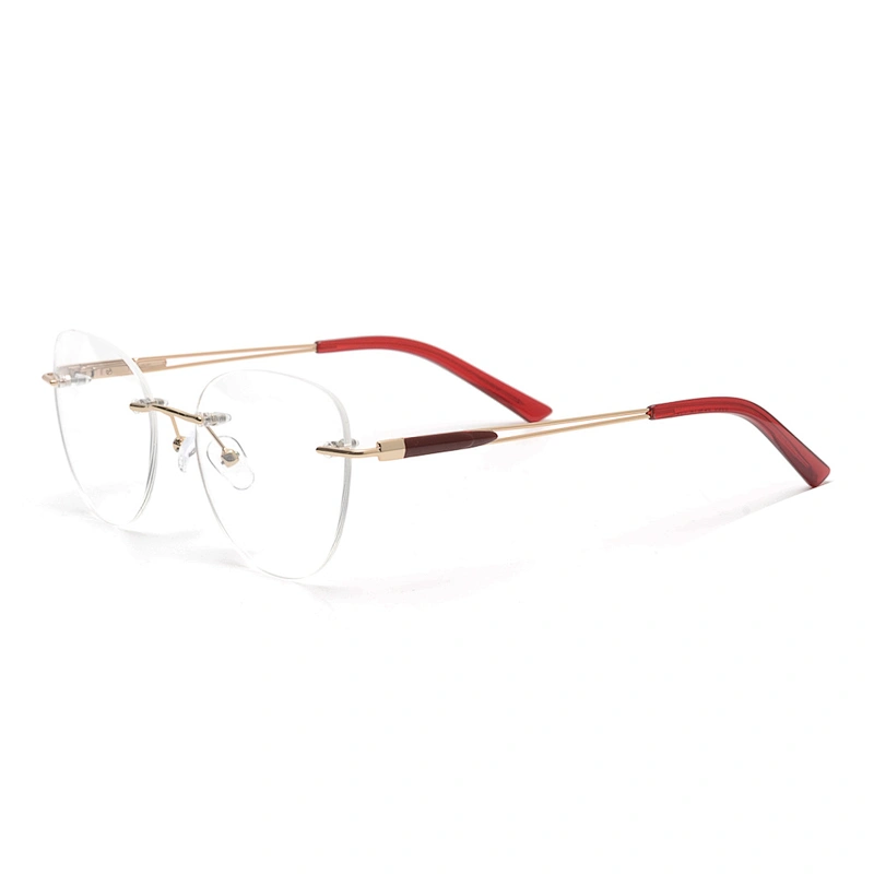 Rimless Optical Frames - For Unisex | Searay Optical