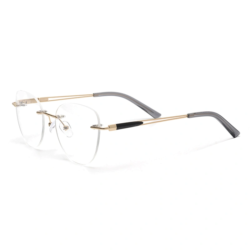 Rimless Optical Frames - For Unisex | Searay Optical