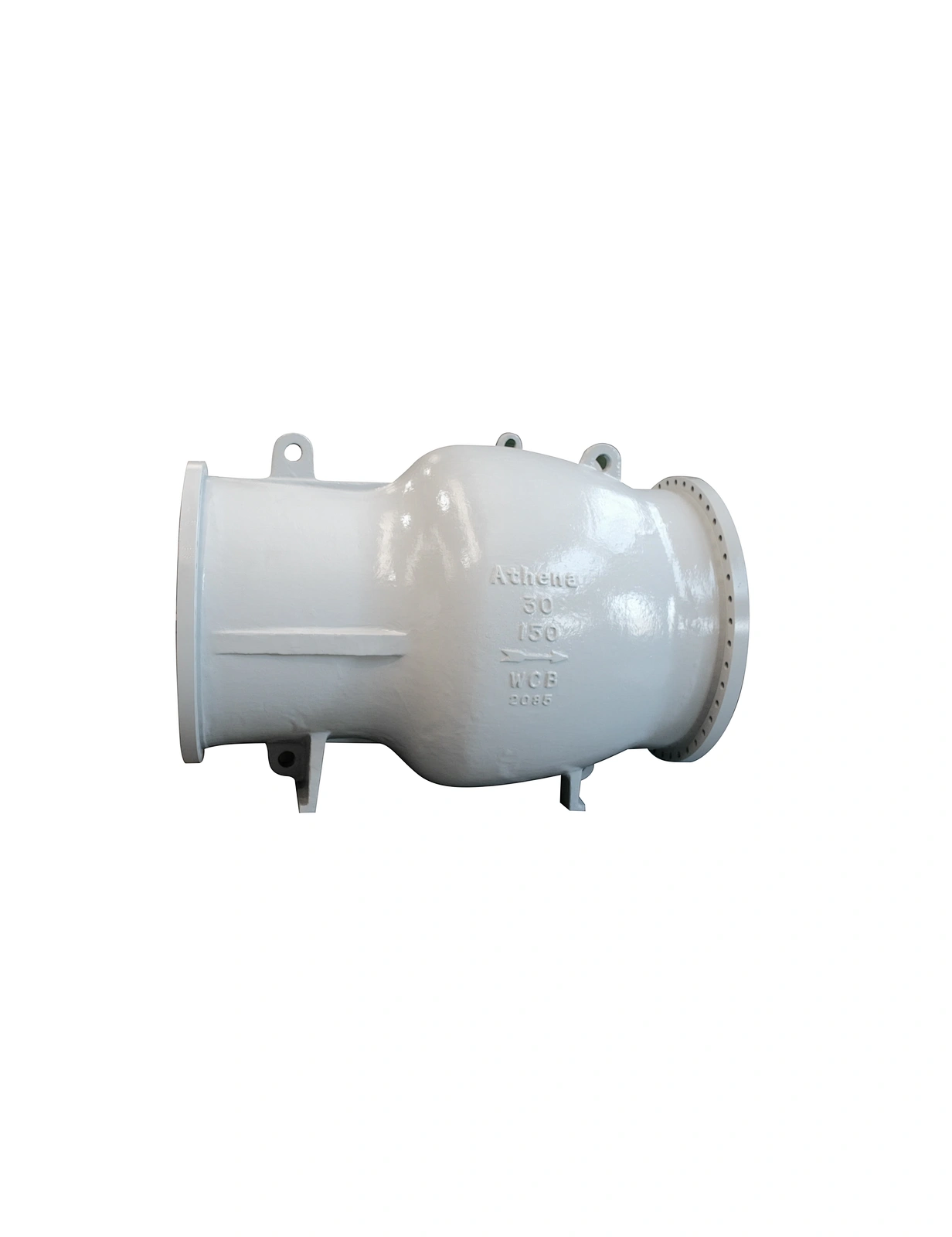Top axial flow check valves manufacturer | Athena S.R.L