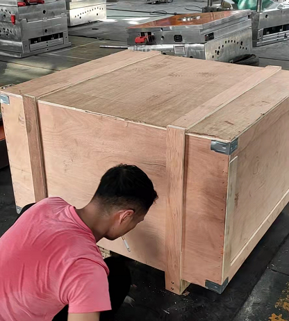 Plastic Injection Mold Packing - TAIZHOU HOPO MOULD & PLASTIC ...