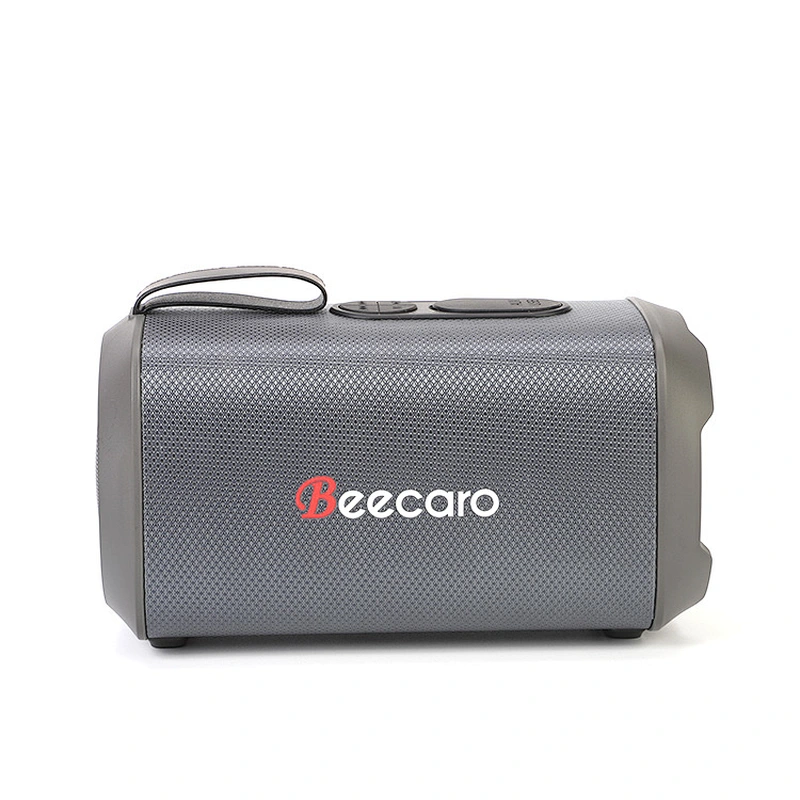 bluetooth speaker Guangzhou Beecaro Technology CO.,Limited