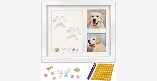 Dog or Cat Pet Paw Print Impression Set with Charms