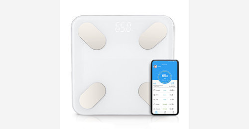 Customized smart scale with app|Zhongshan Cannyscale