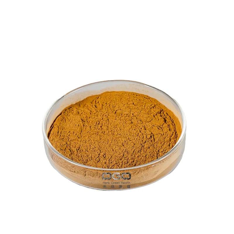 Magnolia Bark Extract Manufacturer - Herb Green Health