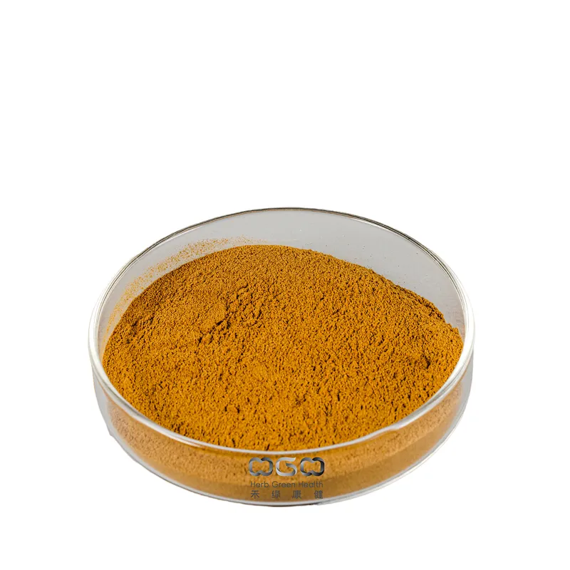Galangal Powder Manufacturer - Herb Green Health Biotech