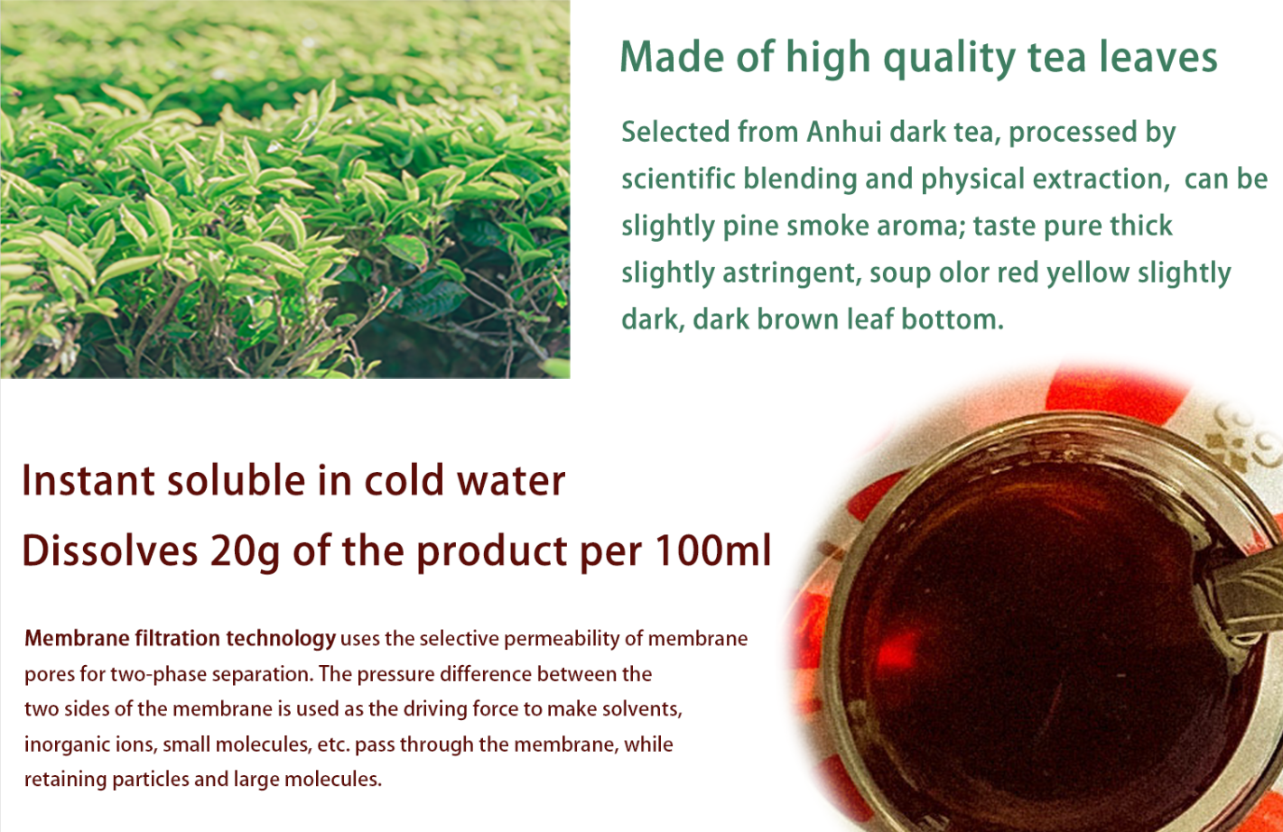 Brick Tea , - Herb Green Health Biotech Co., Ltd