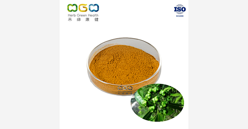 Bacopin Extract Manufacturer - Herb Green Health