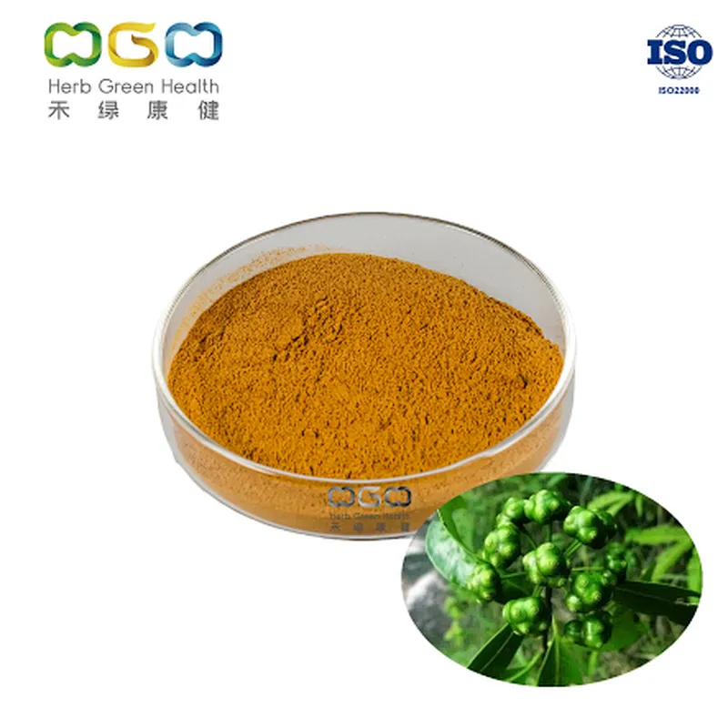 Bacopin Extract Manufacturer - Herb Green Health