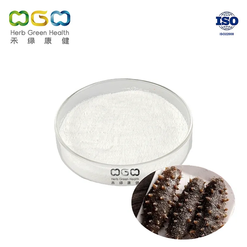 Sea Cucumber Peptide Powder Manufacturer- Herb Green Health