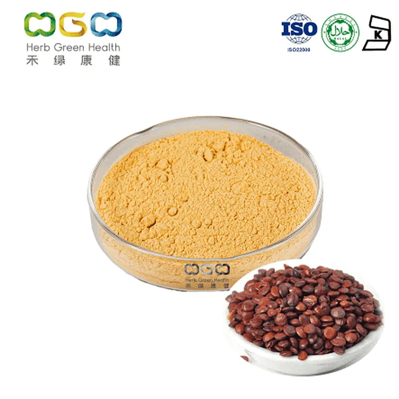 Jujube Seed Extract Manufacturer - Herb Green Health