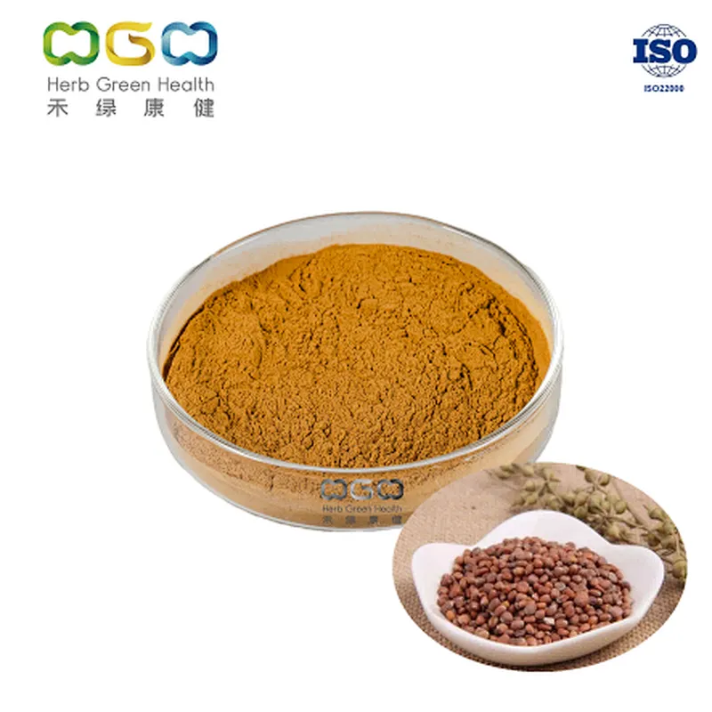 Radish Seed Extract Manufacturer - Herb Green Health