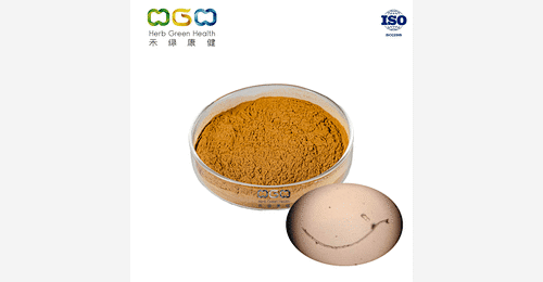 Fermentation Cordyceps Powder