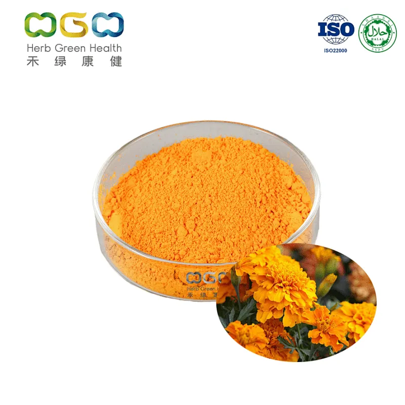 Marigold Extract Lutein Manufacturer - Herb Green Health