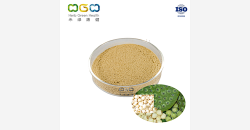 Lotus Seed Extract Manufacturer - Herb Green Health
