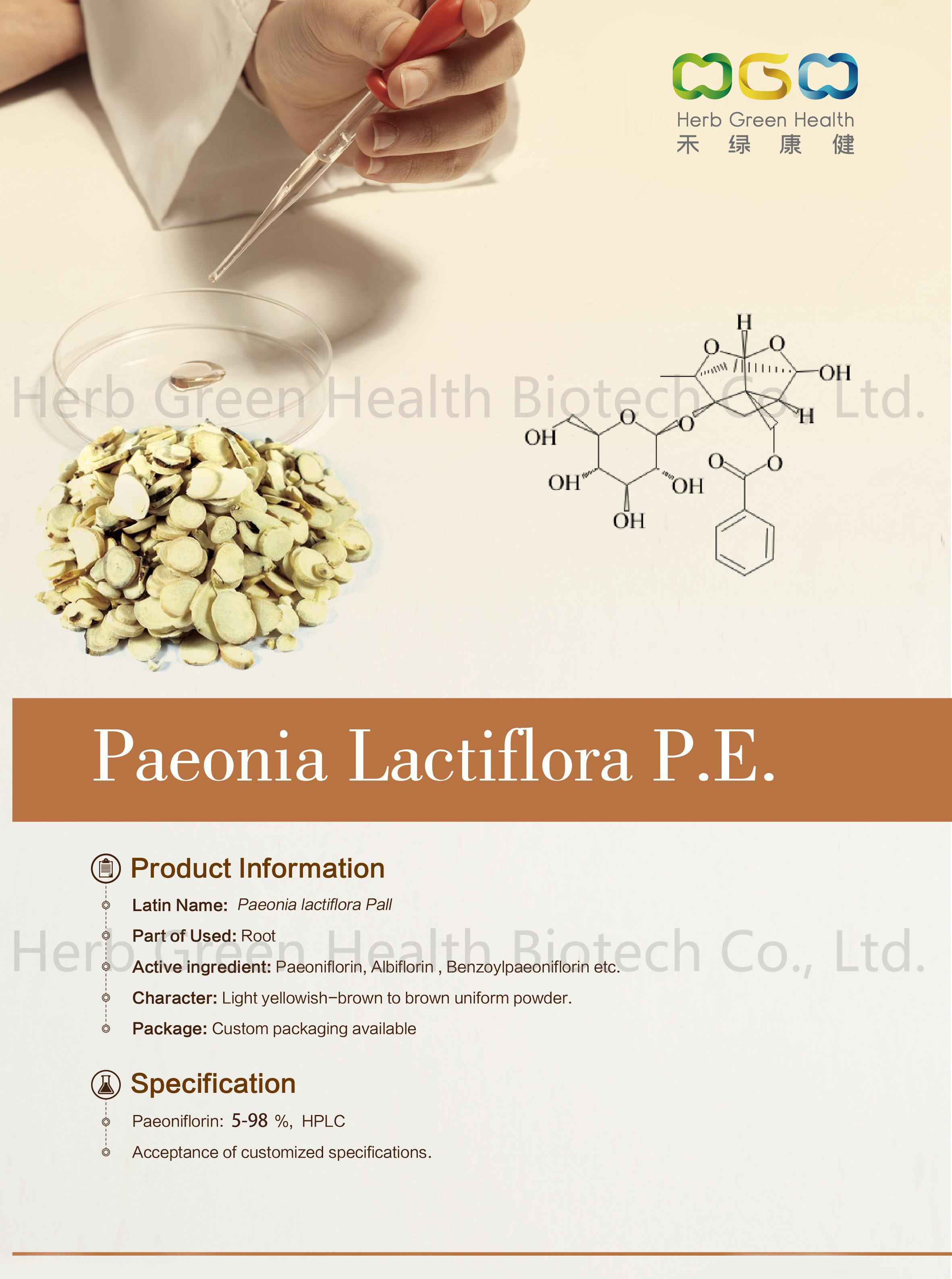 White Peony Extract Manuafcturer - Herb Green Health