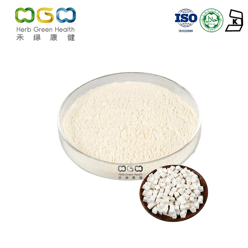 Poria Cocos Extract Manufacturer - Herb Green Health