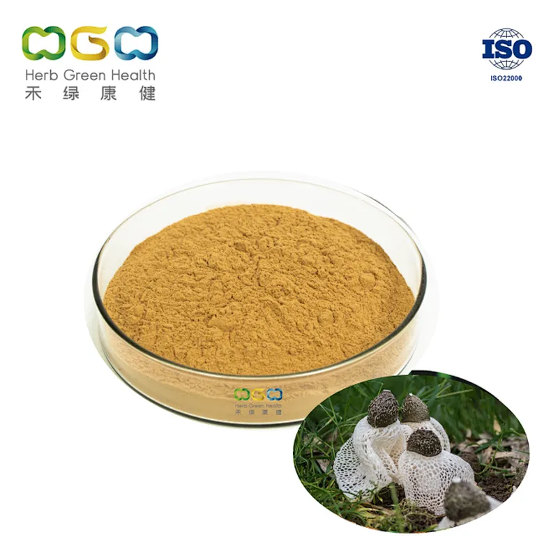 Bamboo Fungus Extract Manufacturer - Herb Green Health
