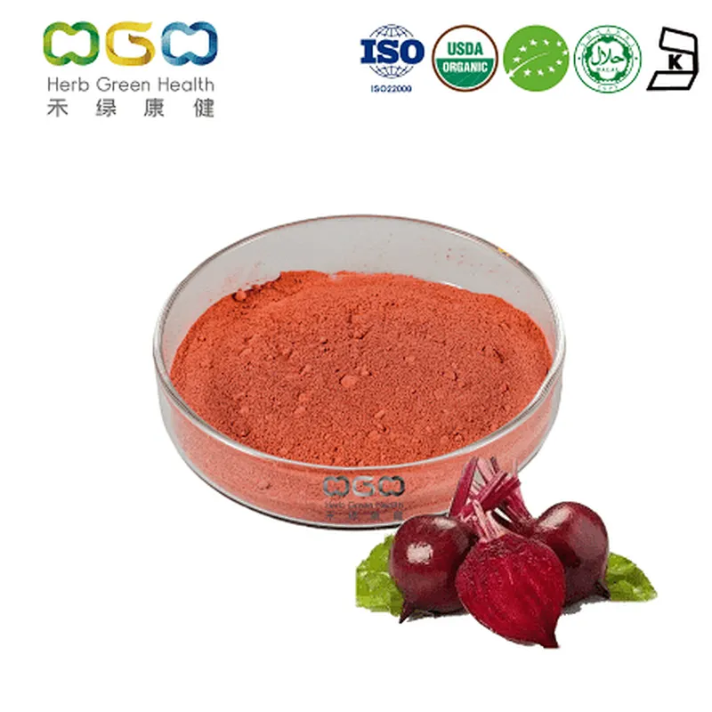 Beet Root Extract Manufacturer - Herb Green Health