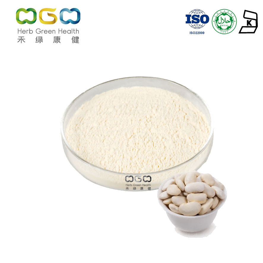 White Kidney Bean Extract Manufacturer - Herb Green Health