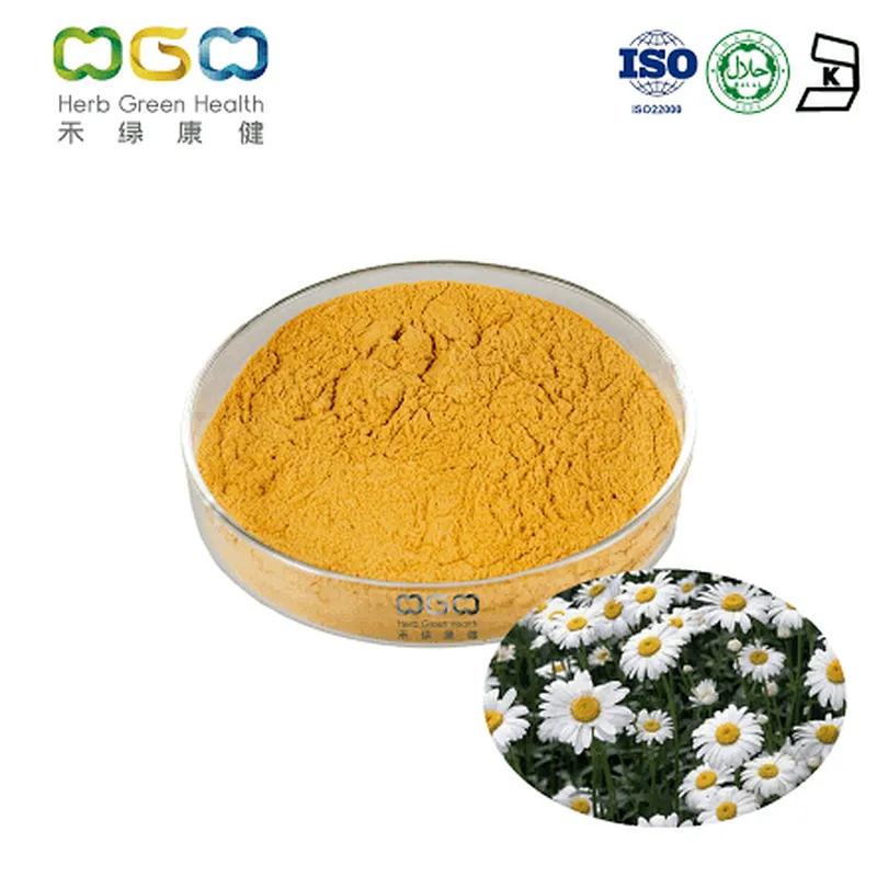 Chrysanthemum Extract Manufacturer - Herb Green Health