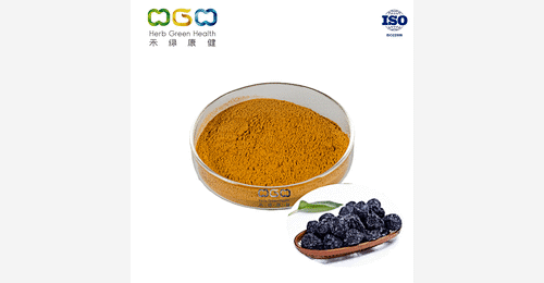 Mume Fructus Extract Manufacturer - Herb Green Health