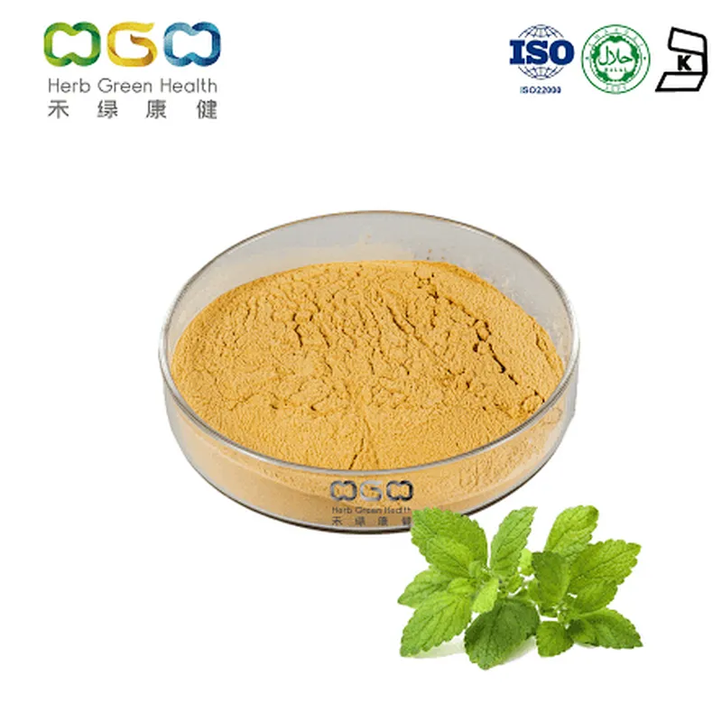 Lemon Balm Extract Manufacturer - Herb Green Health