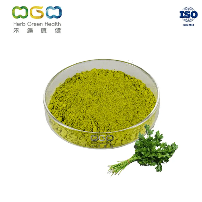 Parsley Powder Manufacturer - Herb Green Health
