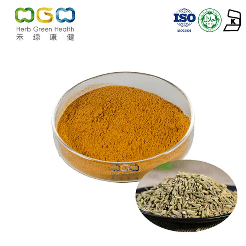 Fennel Powder Manufacturer - Herb Green Health
