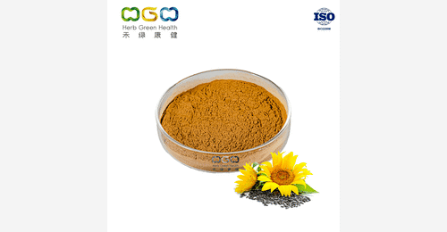 Sunflower Seed Powder Manufacturer - Herb Green Health