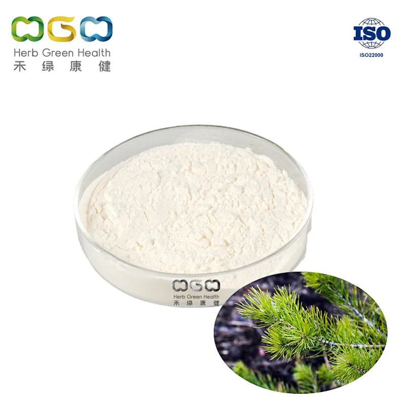 Taxifolin 90% Powder Manufacturer - Herb Green Health
