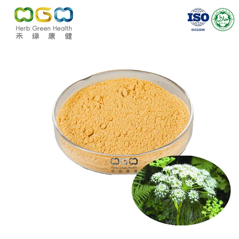 Angelica Extract Manufacturer - Herb Green Health